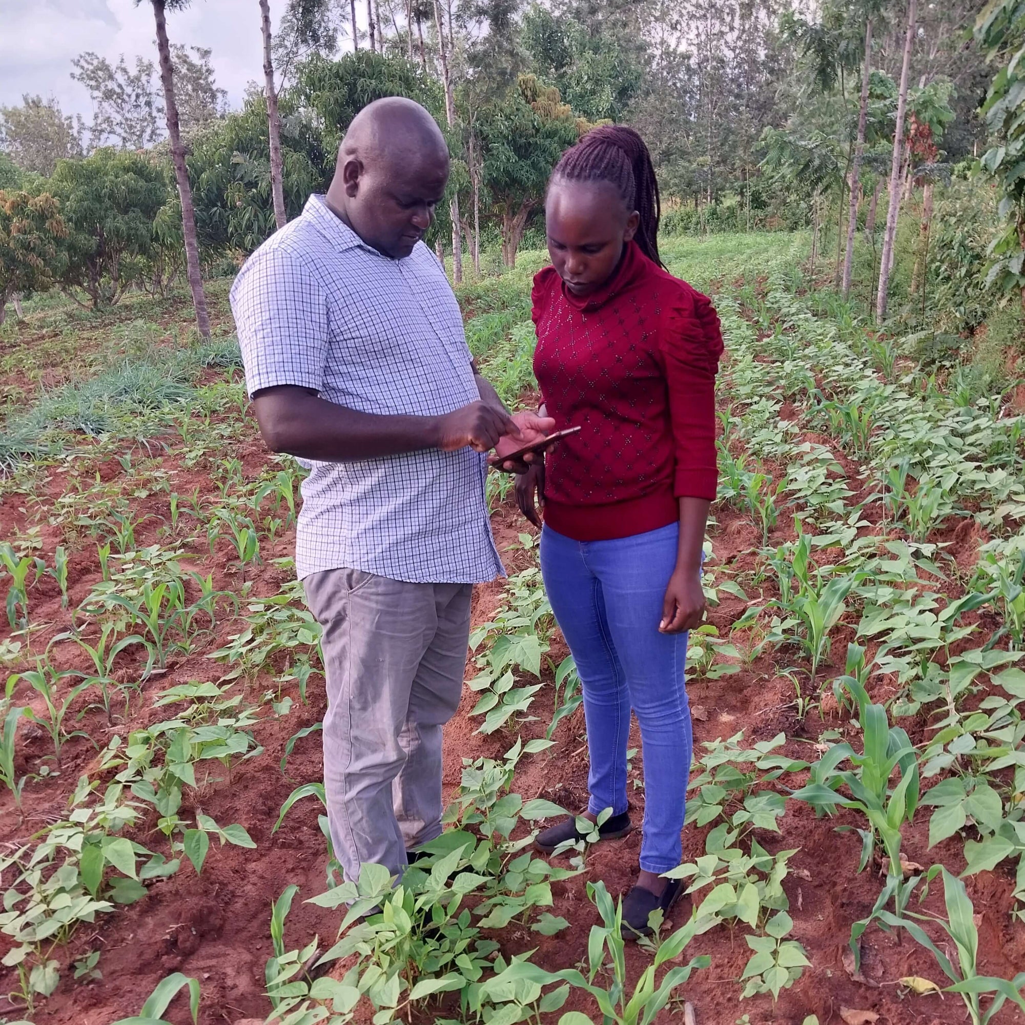 Exploring the SoilWatch Partnership: Green Initiatives and Corporate R